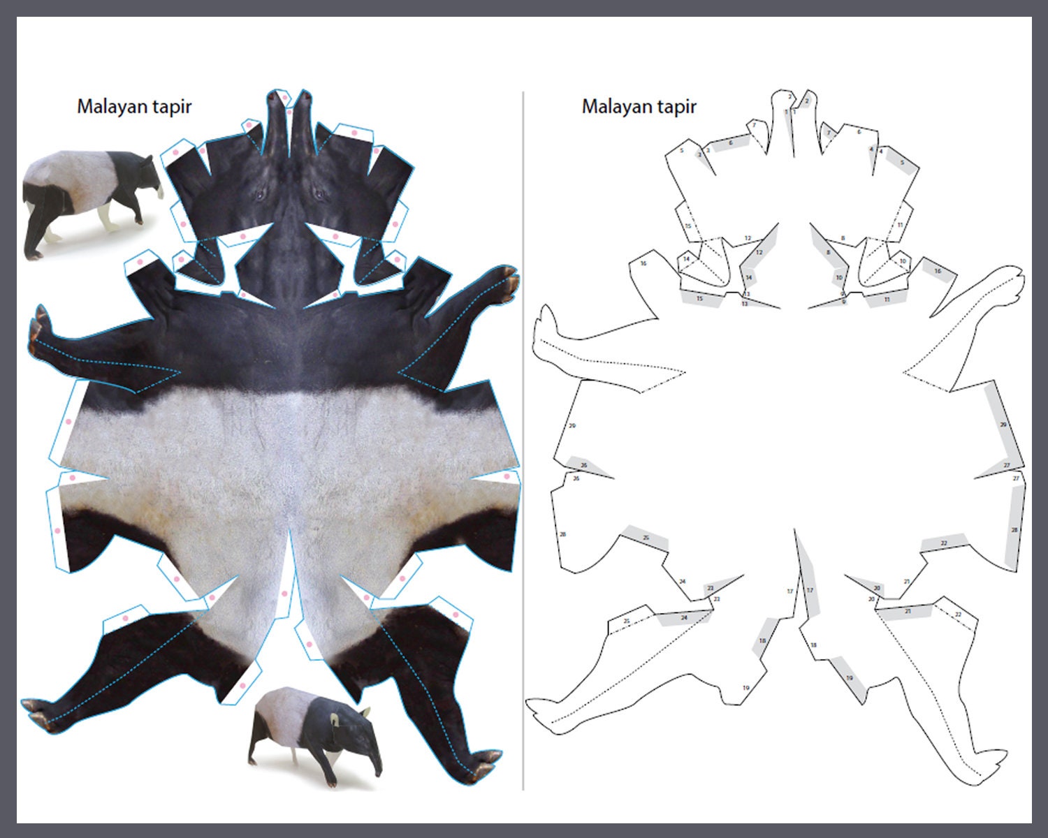 MALAYAN TAPIR 3D Papercraft / Paper Sculpture / DIY Decor / Pdf ...
