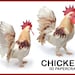 CHICKEN 3D Papercraft / Animals Papercraft / Papercraft Template ...