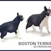 BOSTON TERRIER 3D Papercraft / Hunting Dog Papercraft / Boston Terrier ...