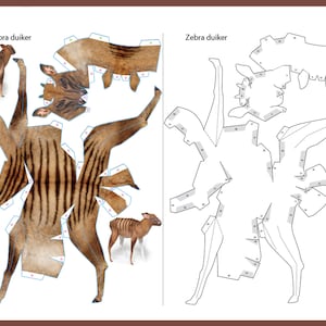 ZEBRA DUIKER 3D Papercraft / Zebra 3D Papercraft / Papercraft Animals ...