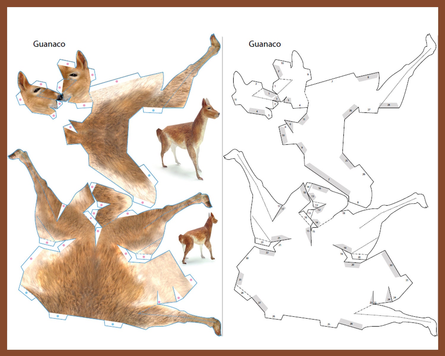 GUANACO 3D Papercraft / Papercraft Animals / Paper Craft Guanaco ...