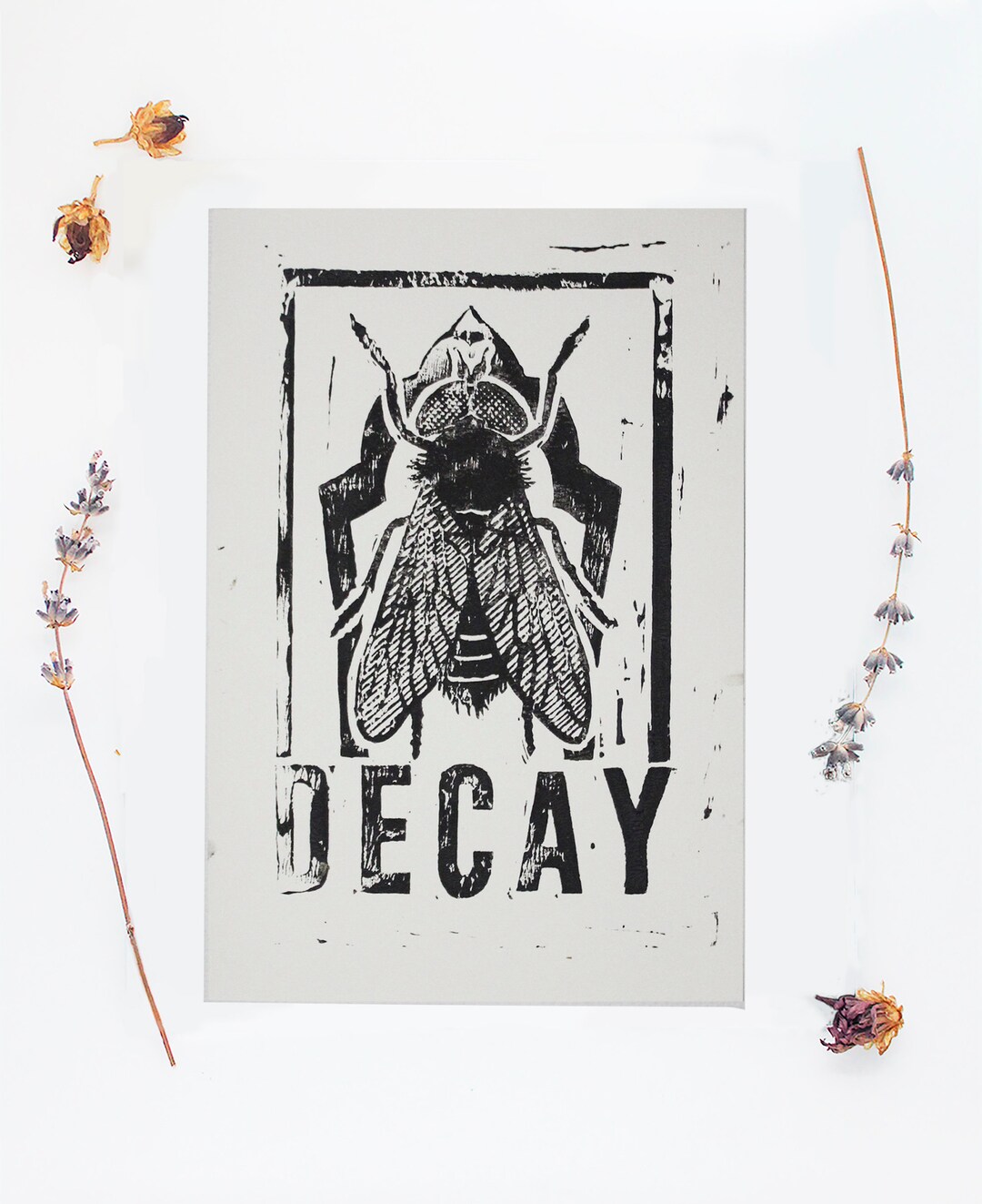 SWARM Decay Fly Linocut Print - Etsy