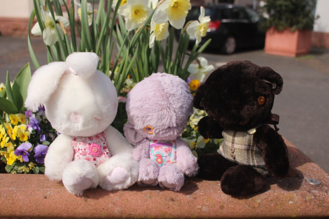 Teddy Bear and Bunny and Yeti Plushies Collectible Toy, Stuffed Animals ...