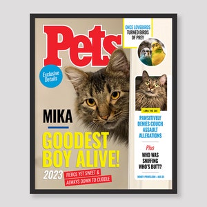 Custom Pet Magazine Cover | Digital or Framed | for Cats | Perfect Gift ...