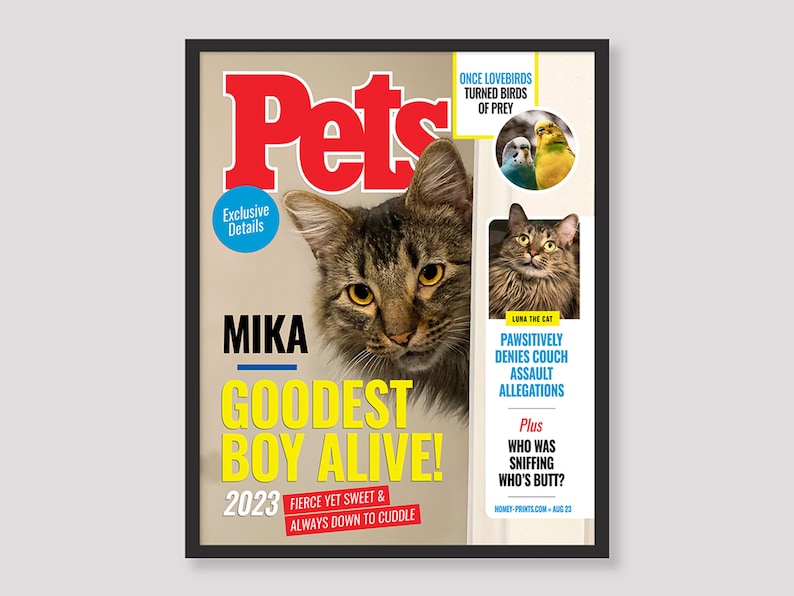 Custom Pet Magazine Cover | Digital or Framed | for Cats | Perfect Gift ...