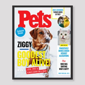 Custom Pet Magazine Cover | Digital or Framed | for Dogs and Cats ...