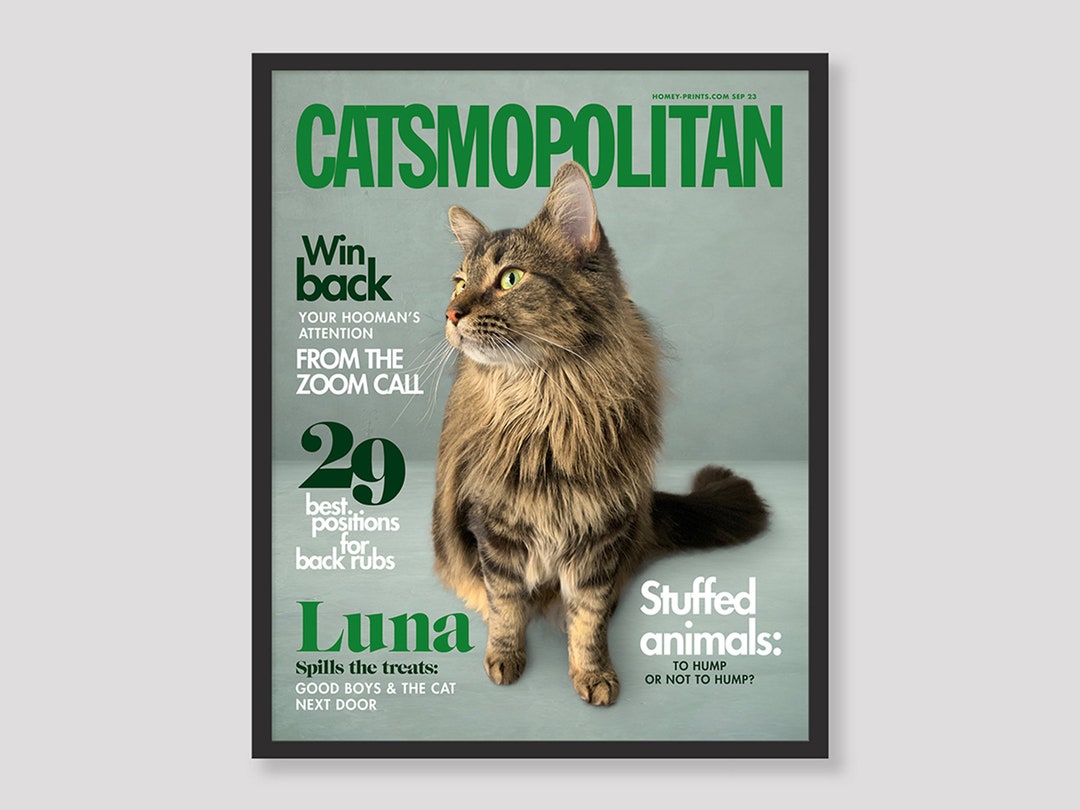 Custom Pet Magazine Cover | Digital or Framed | for Cats | Perfect Gift ...