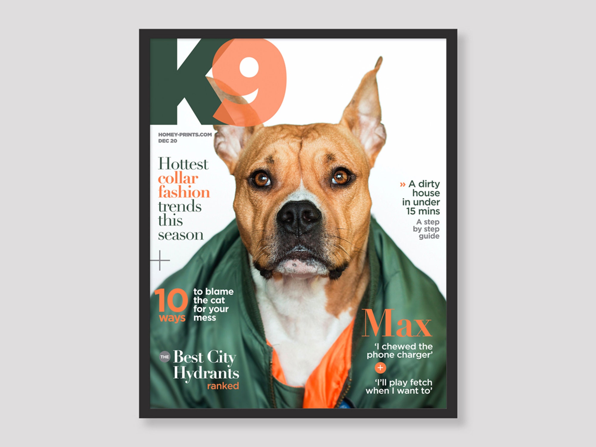 Custom Pet Magazine Cover | Digital or Framed | for Dogs and Cats ...