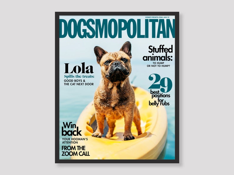 Custom Pet Magazine Cover | Digital or Framed | for Dogs and Cats ...