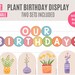 Watercolour Plant Birthday Display | Classroom Birthday Bulletin Board ...