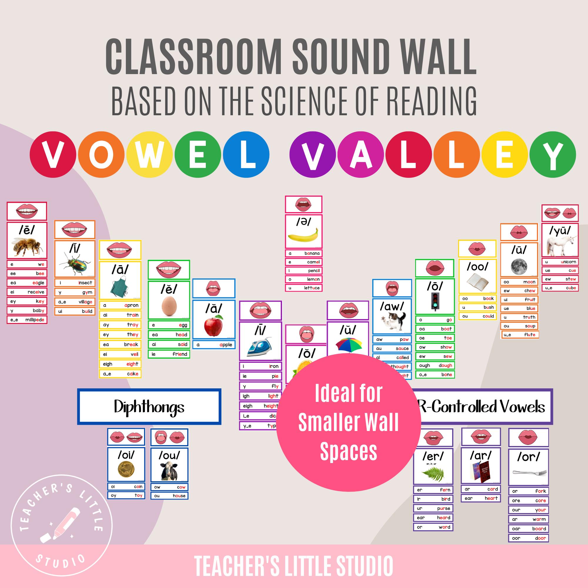 Science of Reading Sound Wall Posters | Vowel Valley and Consonant ...