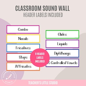 Science of Reading Sound Wall Posters | Vowel Valley and Consonant ...
