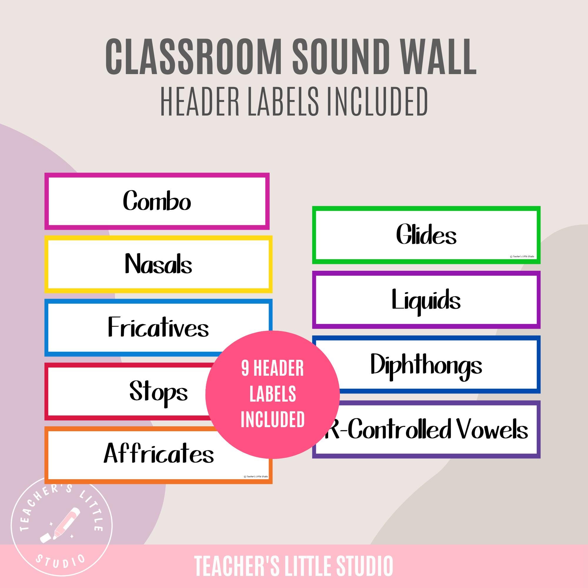 Science of Reading Sound Wall Posters | Vowel Valley and Consonant ...