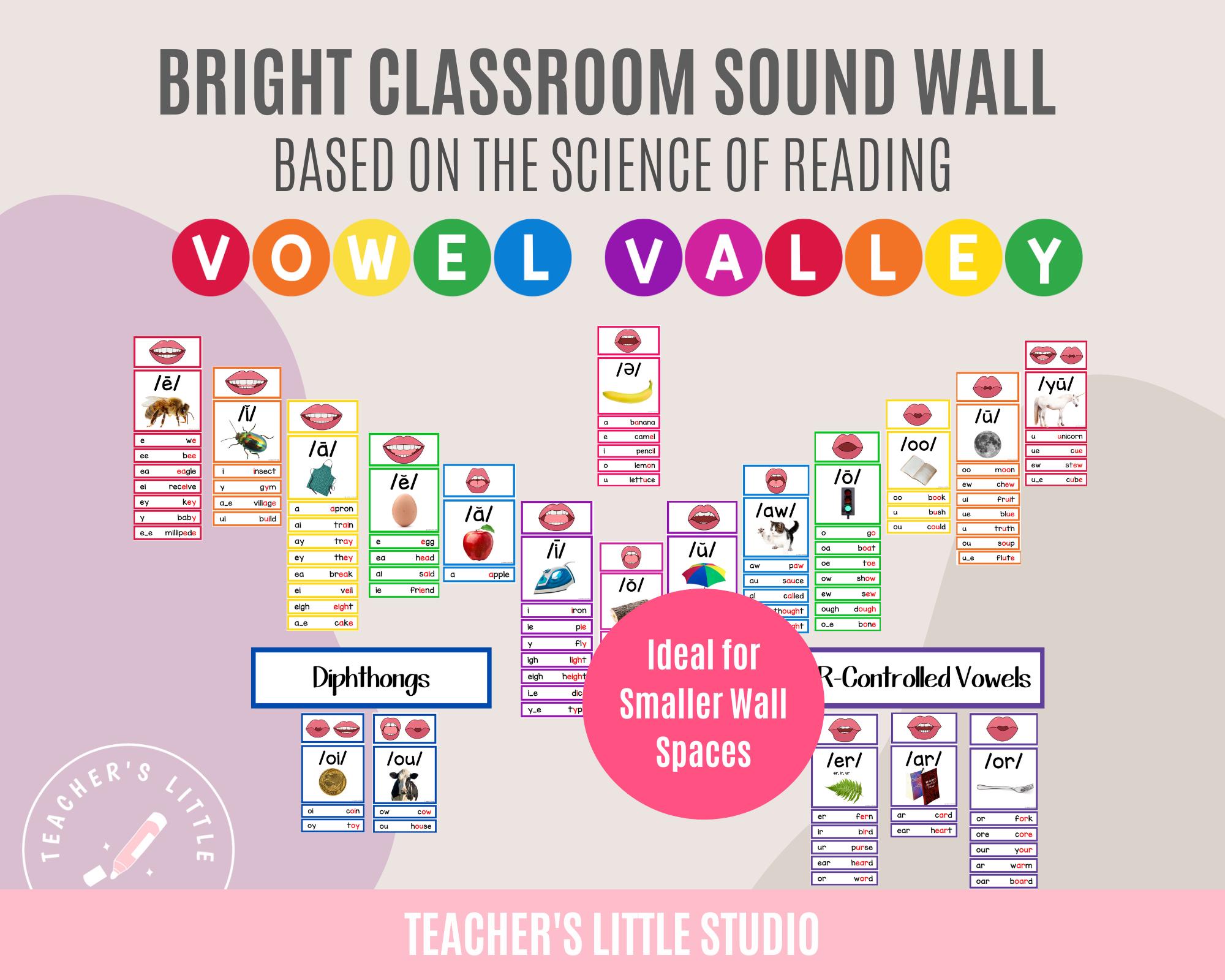Science of Reading Sound Wall Posters | Vowel Valley and Consonant ...