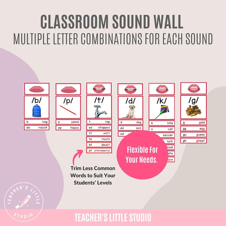 Science of Reading Sound Wall Posters | Vowel Valley and Consonant ...