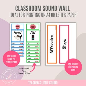Science of Reading Sound Wall Posters | Vowel Valley and Consonant ...