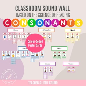 Science of Reading Sound Wall Posters | Vowel Valley and Consonant ...