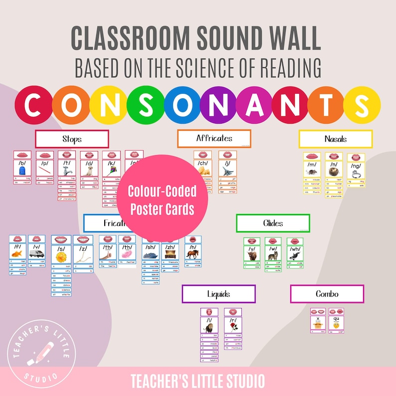Science of Reading Sound Wall Posters | Vowel Valley and Consonant ...