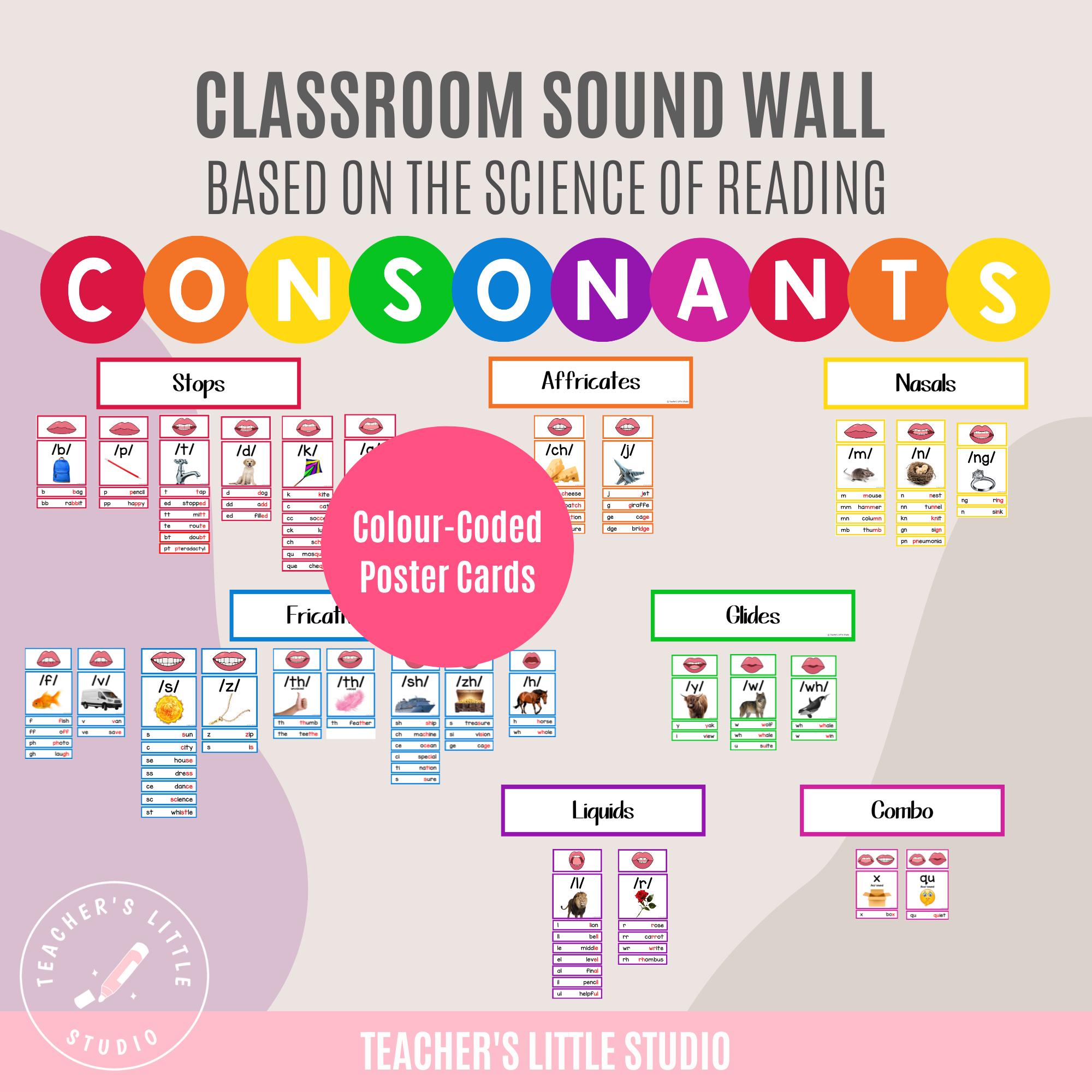 Science of Reading Sound Wall Posters | Vowel Valley and Consonant ...