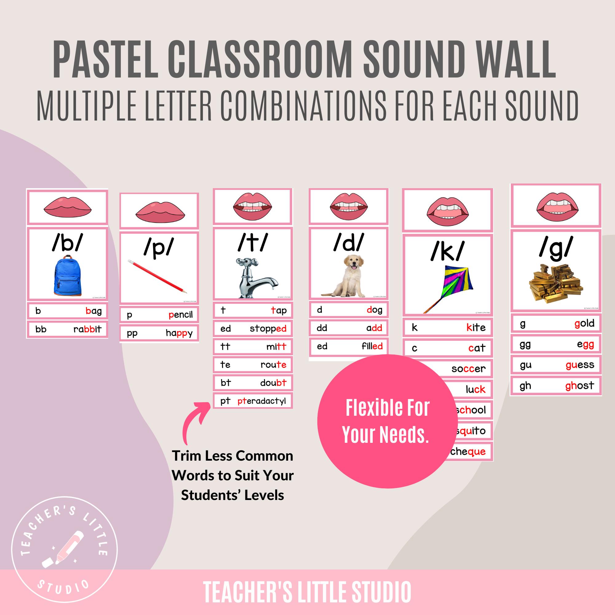 Science of Reading Sound Wall Posters | Vowel Valley and Consonant ...