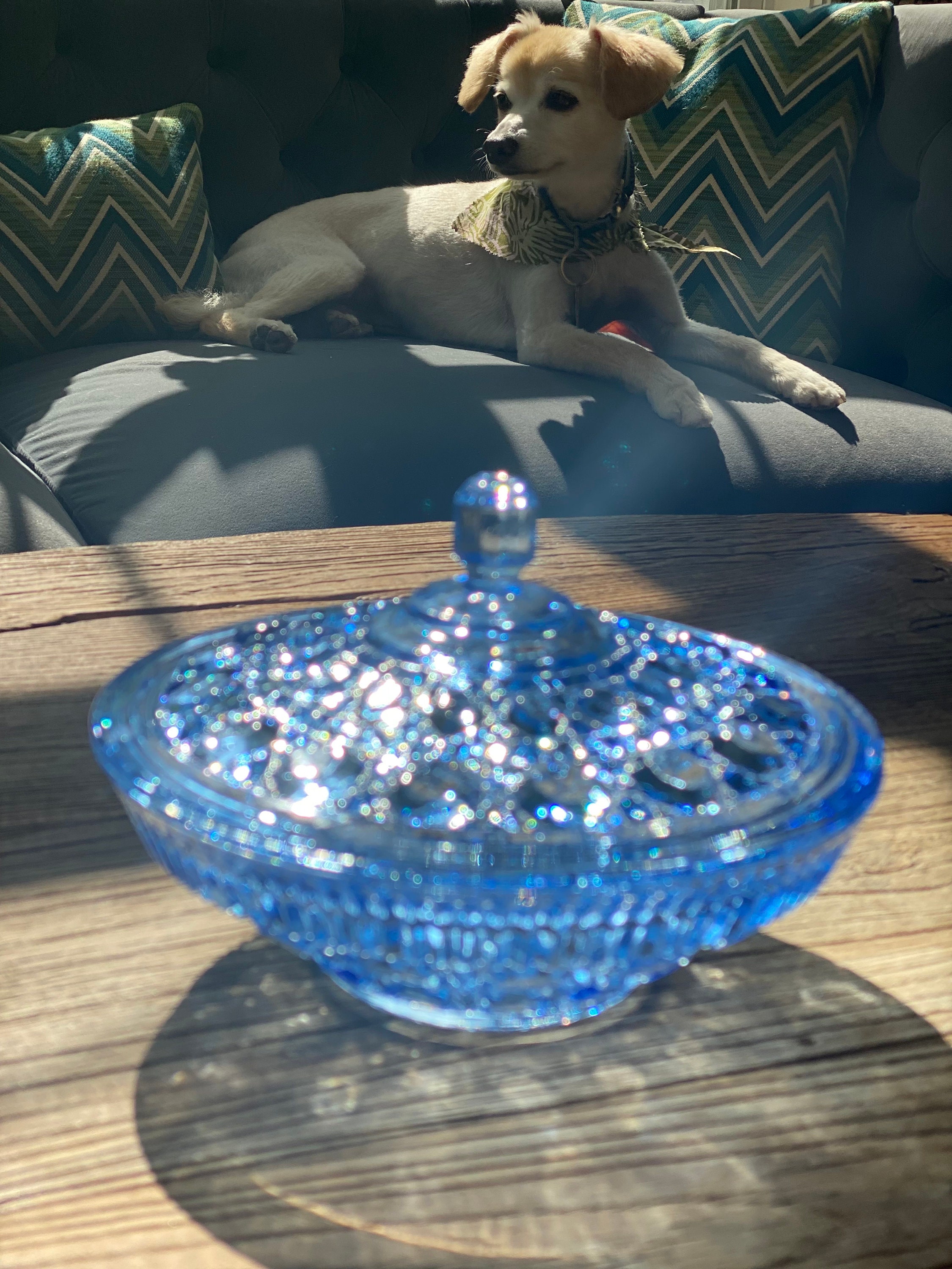 Indiana Glass Windsor Blue in Button and Cane Pattern Lidded - Etsy