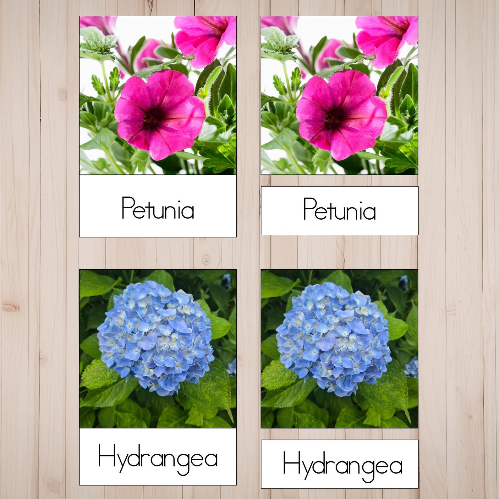 Flowers 3-part Cards I Montessori I Homeschool I Springtime - Etsy