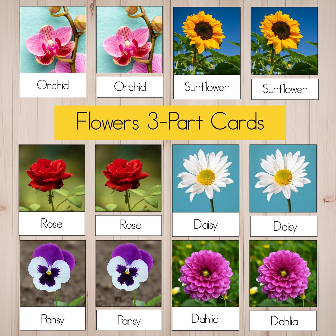 Flowers 3-part Cards I Montessori I Homeschool I Springtime - Etsy
