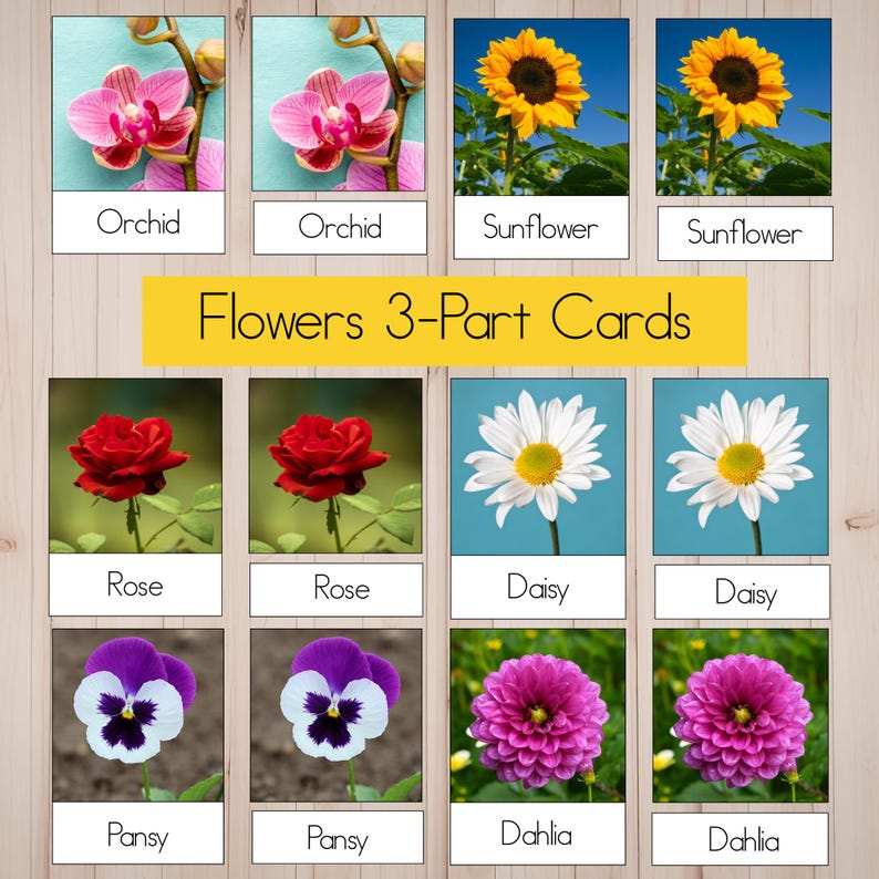 Flowers 3-part Cards I Montessori I Homeschool I Springtime - Etsy