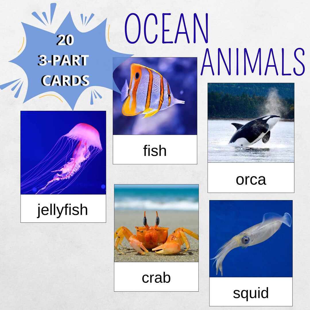 Sea Animals 3-part Cards | Montessori Homeschool Ocean Word Cards - Etsy