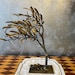Olive Tree Bronze Brass Olive Tree Tumbled Olive Tree Metal Olive Tree ...
