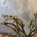 Olive Tree Bronze Brass Olive Tree Tumbled Olive Tree Metal Olive Tree ...