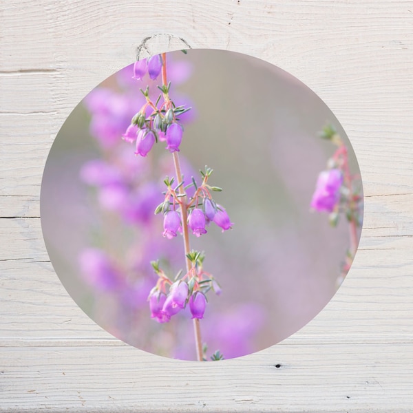 Heather Flower - Etsy