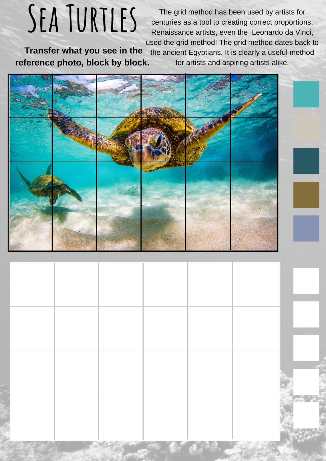 Printable Art Worksheets Activity Turtles Drawing Practice - Etsy