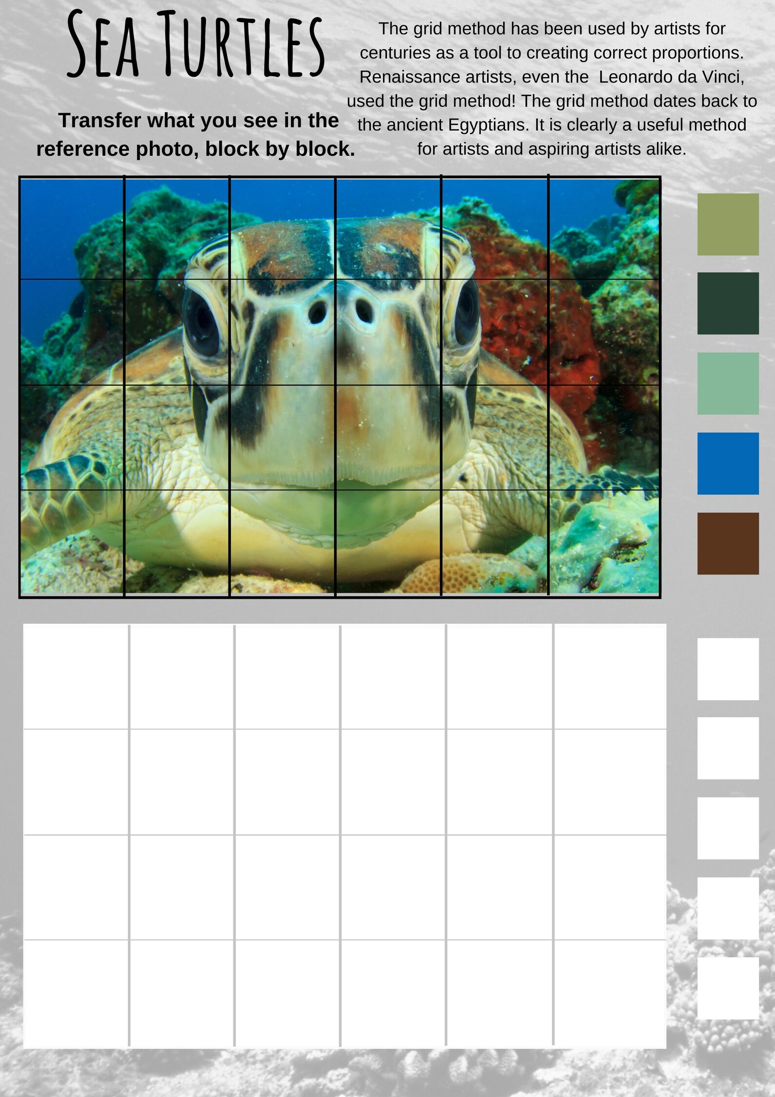 Printable Art Worksheets Activity Turtles Drawing Practice - Etsy