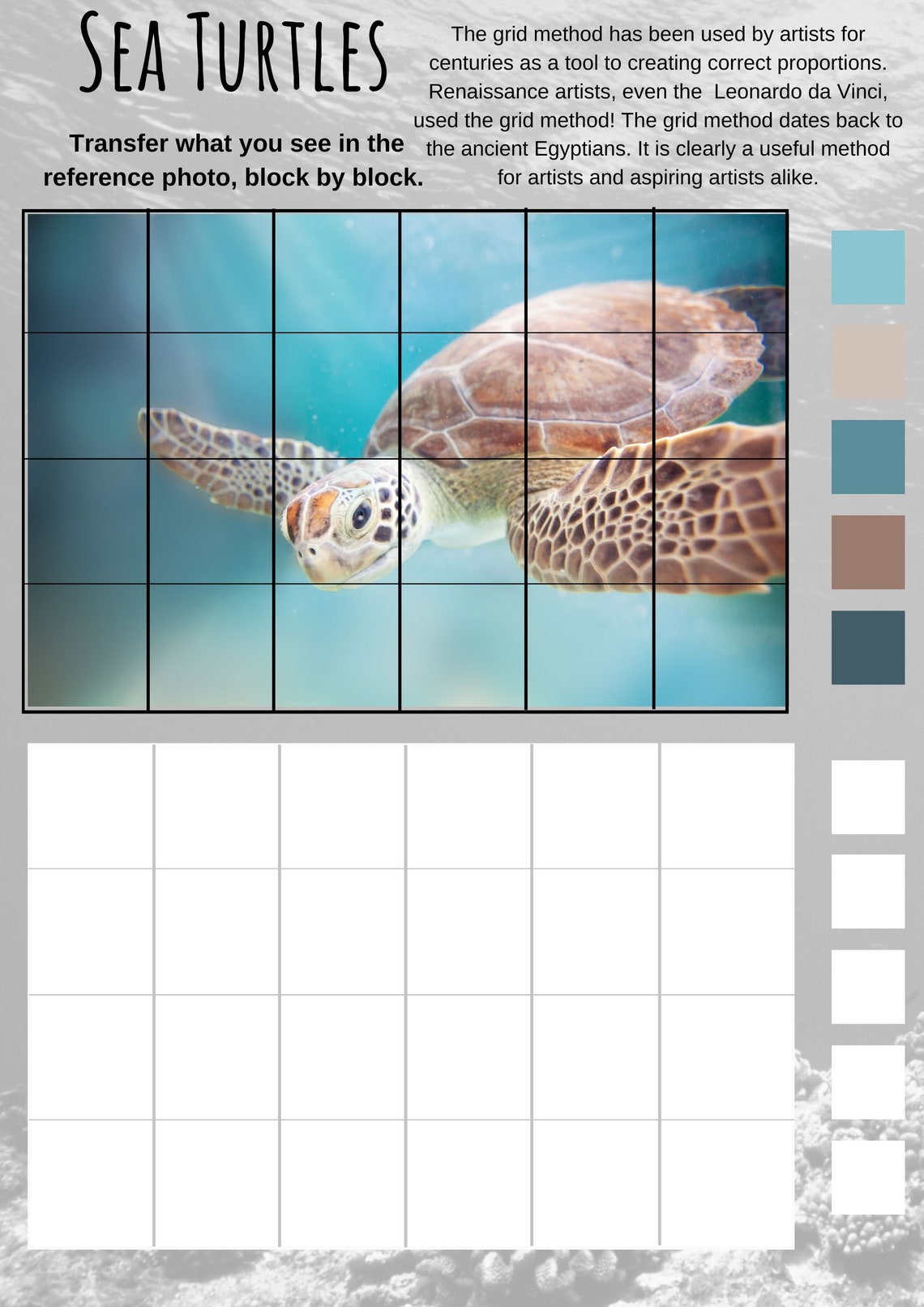 Printable Art Worksheets Activity Turtles Drawing Practice - Etsy