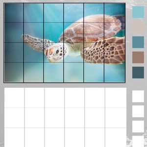 Printable Art Worksheets Activity, Turtles, Drawing Practice, Colouring ...