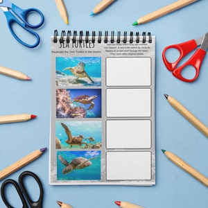 Printable Art Worksheets Activity, Turtles, Drawing Practice, Colouring ...