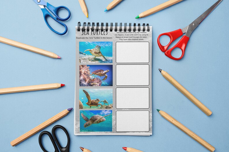 Printable Art Worksheets Activity, Turtles, Drawing Practice, Colouring ...