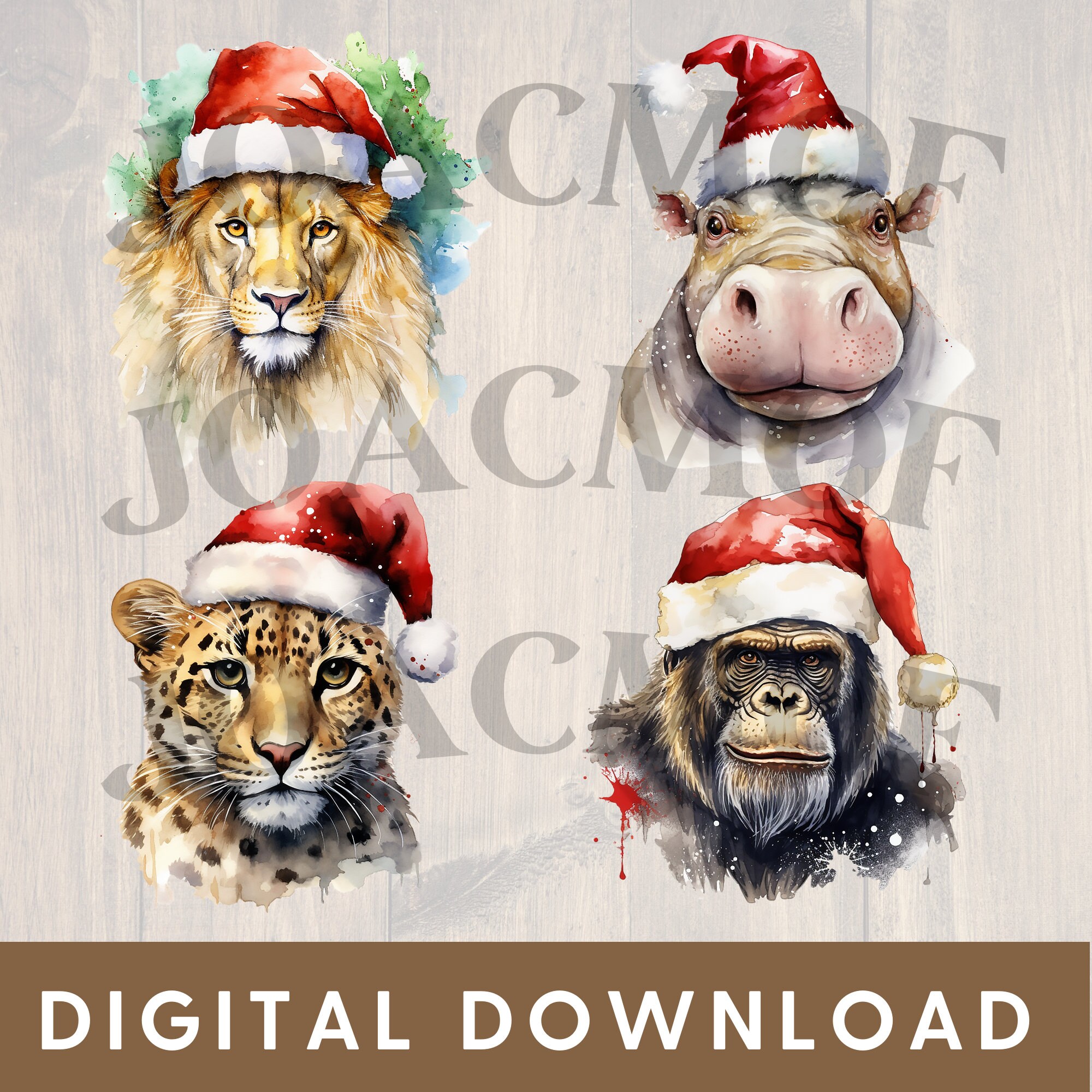 Christmas Safari PNG, Santa Hat Clipart Bundle Animal Watercolour ...