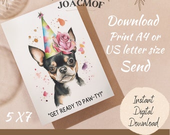 Chihuahua Greeting Birthday Card - Etsy