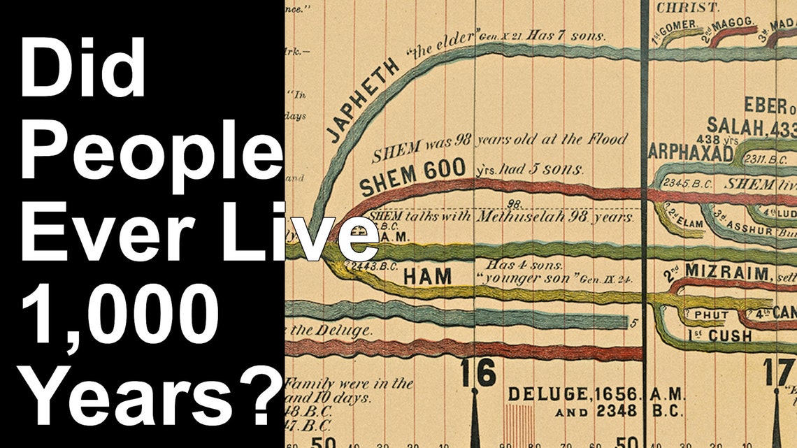 Adams Time Chart Custom Ordered Version Biblical Timeline - Etsy