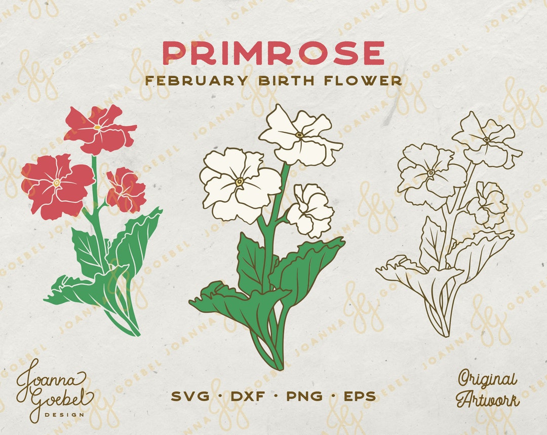 Primrose SVG February Birth Flower SVG Layered Flower SVG Joanna Goebel ...