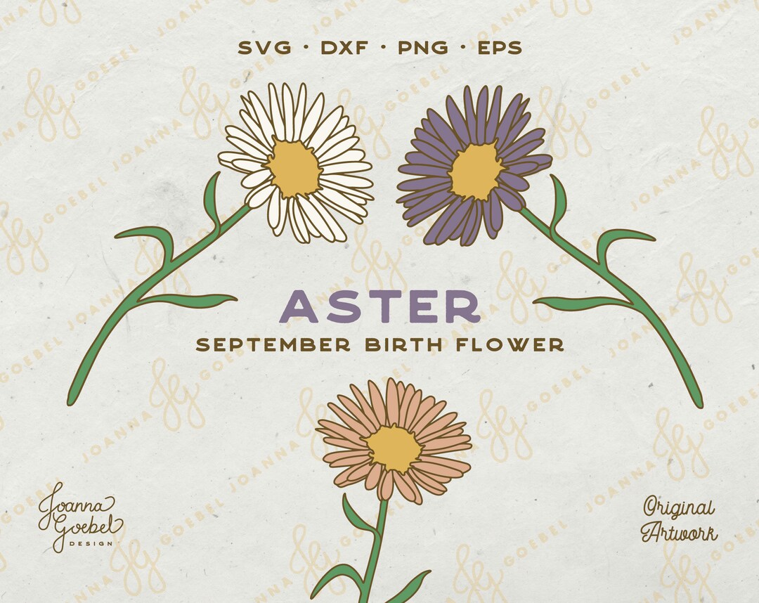 Aster SVG; September Birth Flower SVG; Layered Flower Svg Bundle; Aster ...