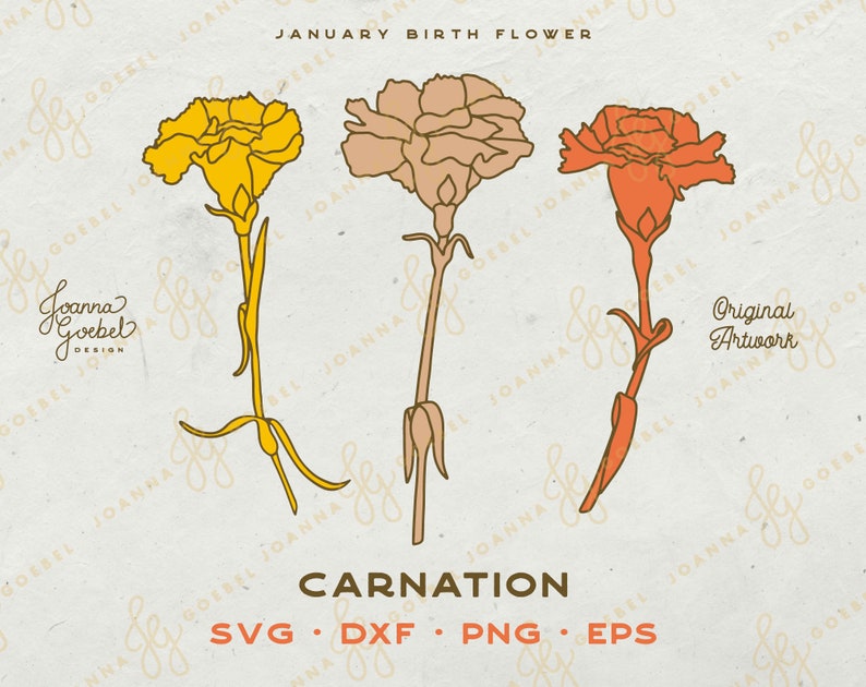 Carnation SVG January Birth Flower SVG Layered Flower Svg | Etsy