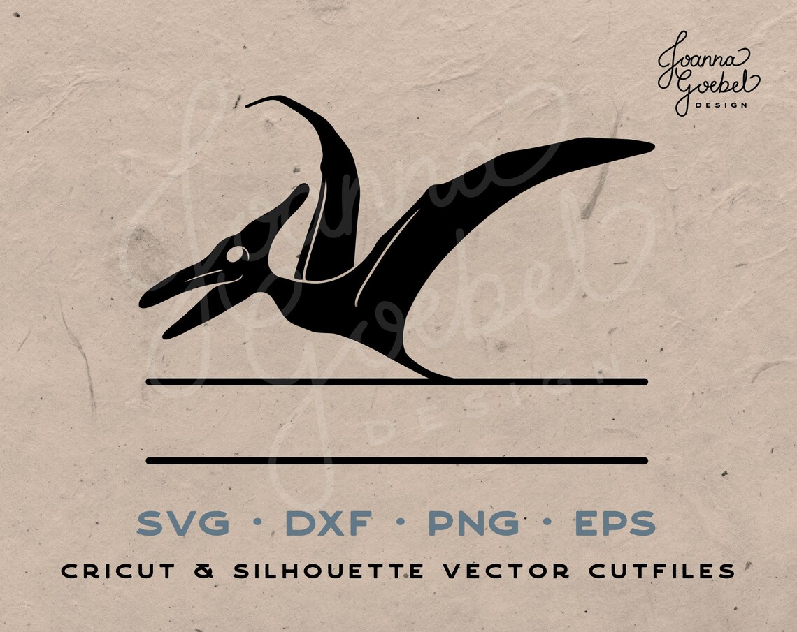 Dinosaur Bundle Svg Dinosaur Split Monogram Svg Dino Name | Etsy