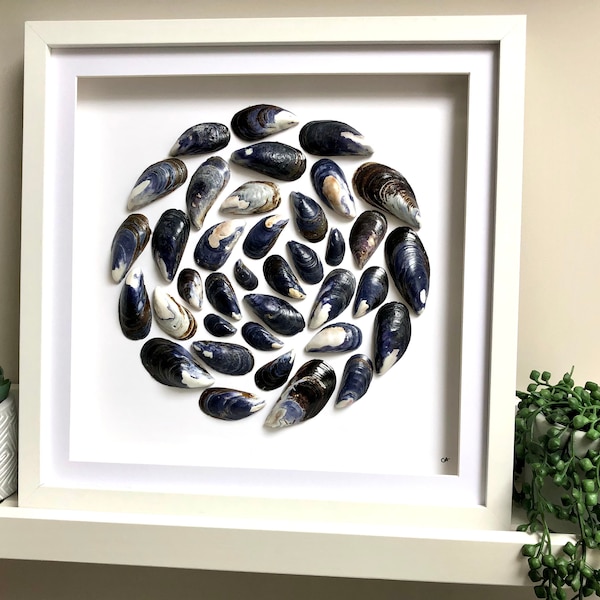 Shell Art - Etsy UK