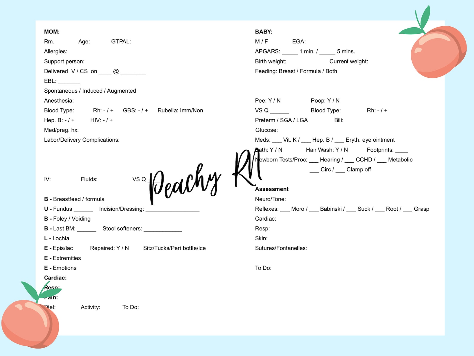 MATERNITY POSTPARTUM Nursing Report Sheet Template - Etsy
