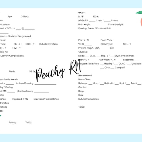 MATERNITY POSTPARTUM Nursing Report Sheet Template - Etsy