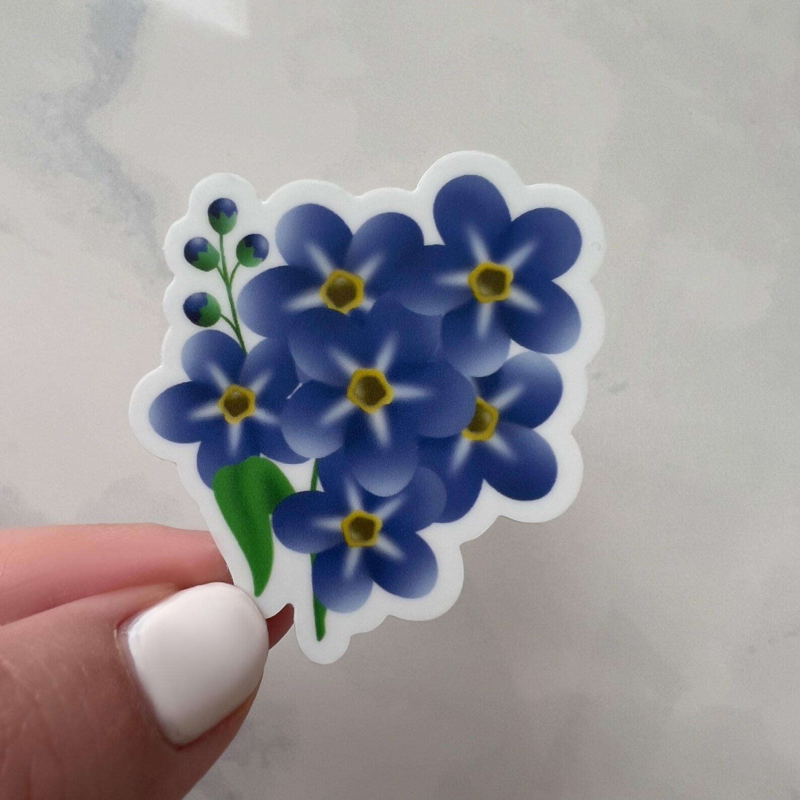 Armenia Sticker Pack | Vinyl Stickers | Armenian Flag Gift | Forget-me ...