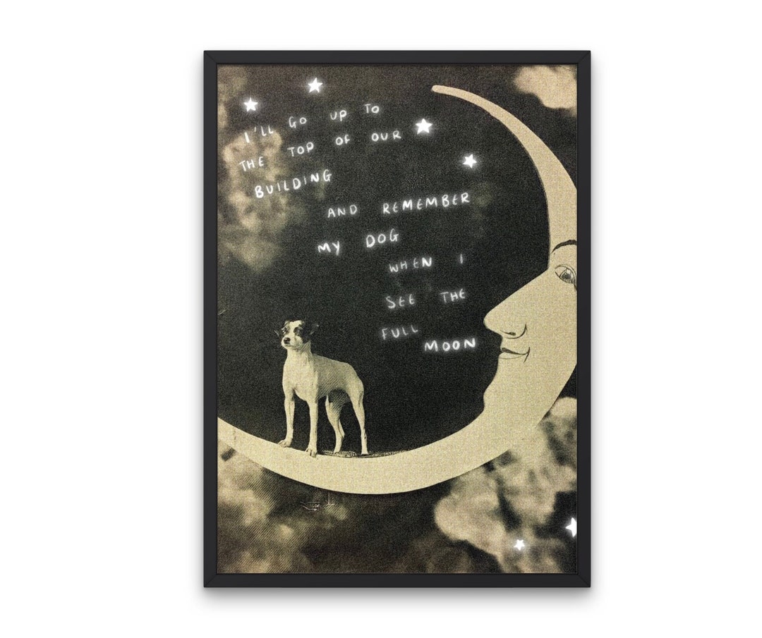 DOG MOON A5 Print Letter to an Old Poet / Boygenius / the Record / Lucy ...